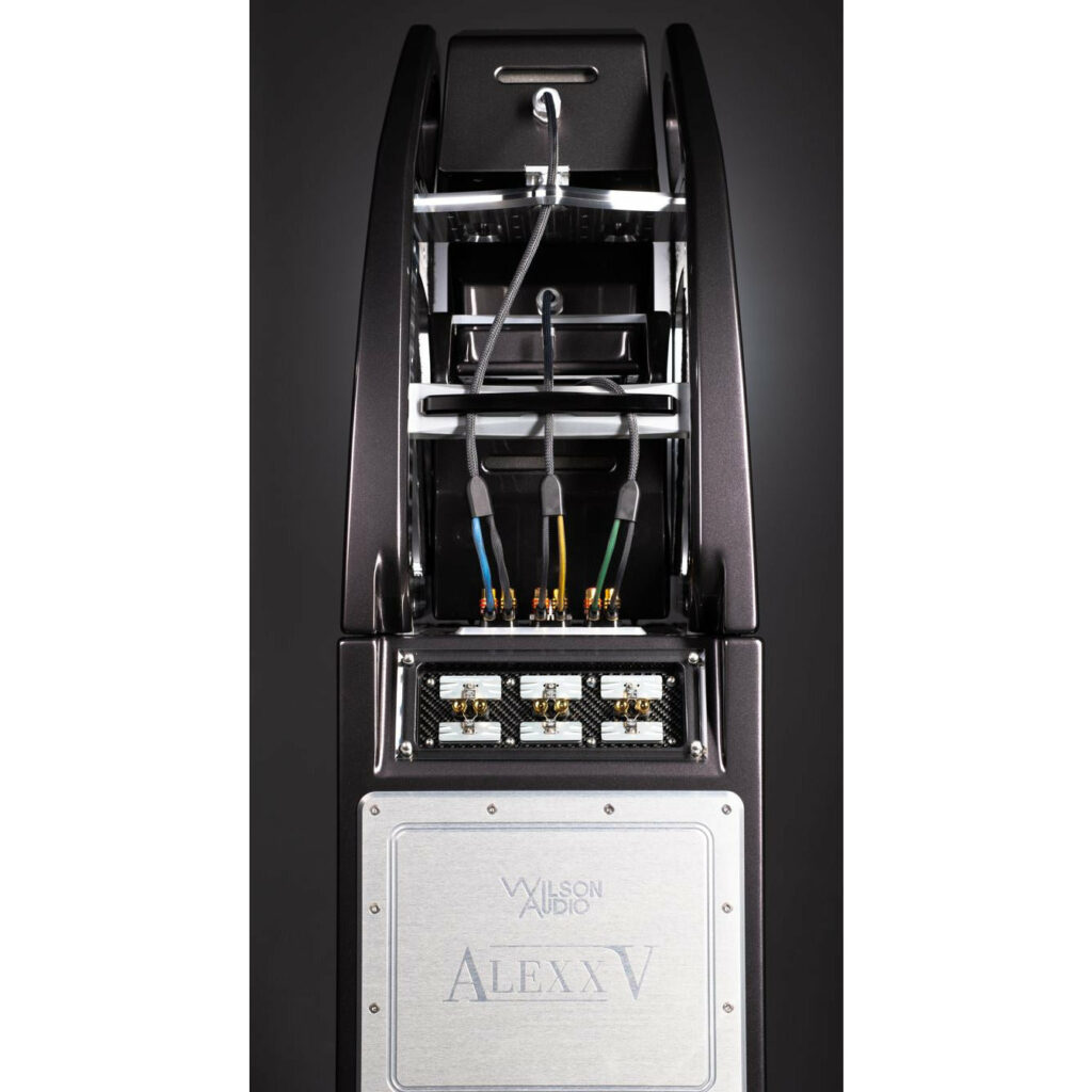 WILSON AUDIO ALEXX V FLOORSTANDING SPEAKERS - Sound Gallery